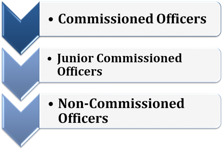 Ranks And Insignia Of Indian Airforce | Importance Of 5-Stars